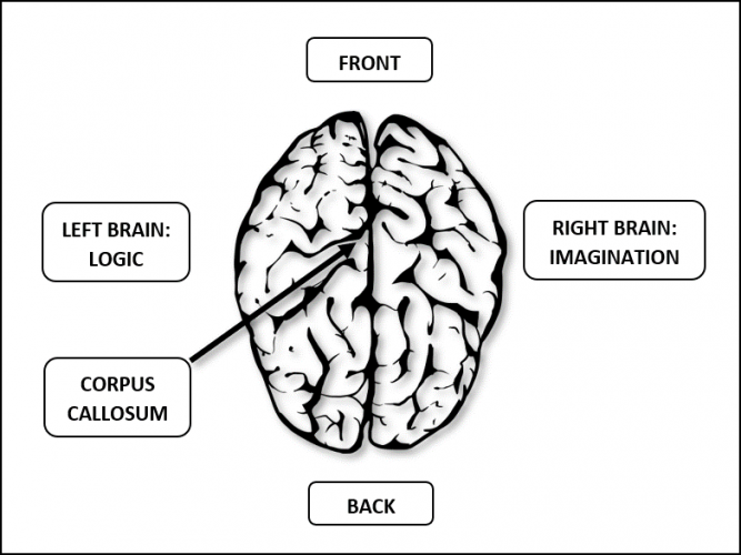 Targets, Aims, Goals: How to Use 100% of Your Brain to Maximise Your ...